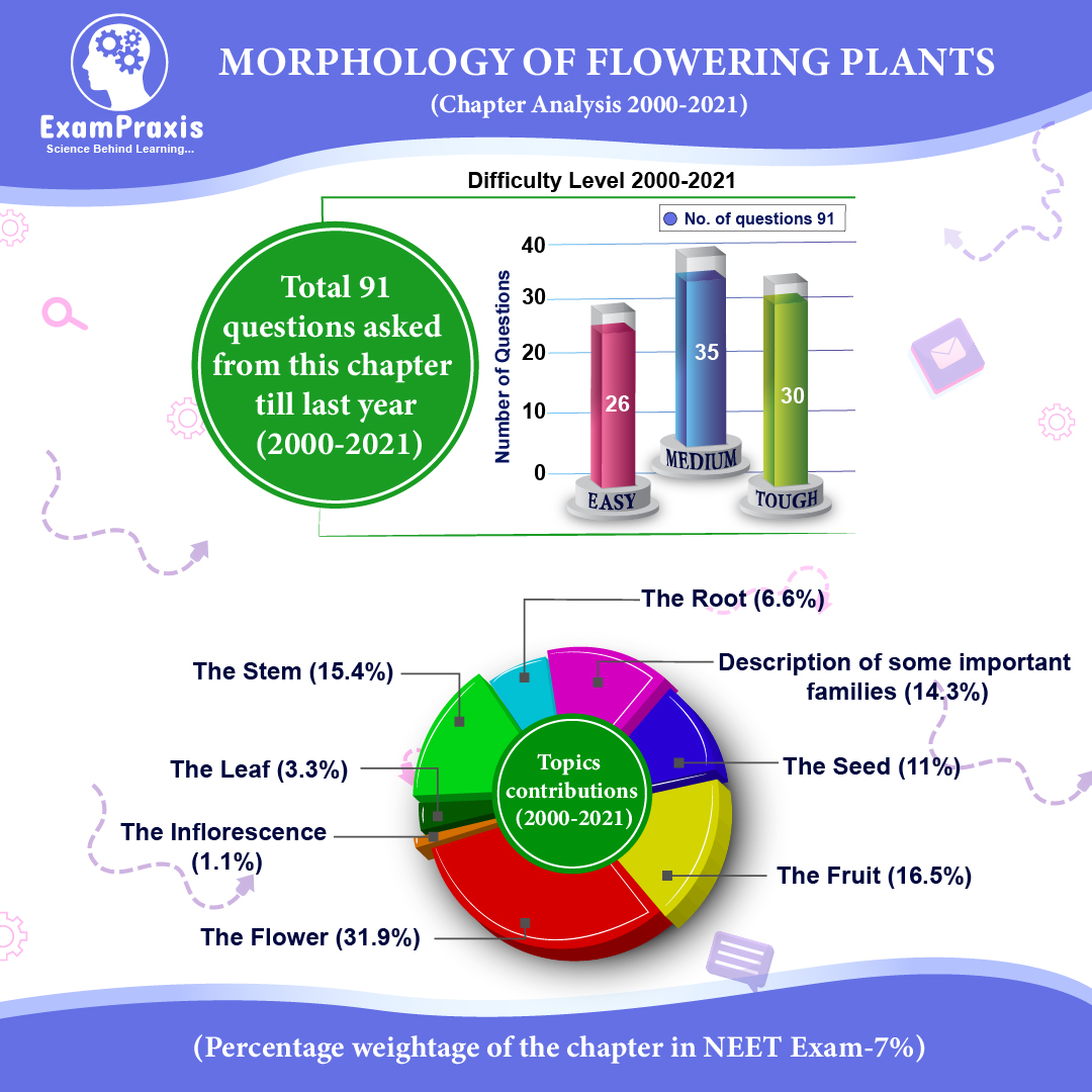 Morphology Of Flowering Plants Important Notes Exam Praxis